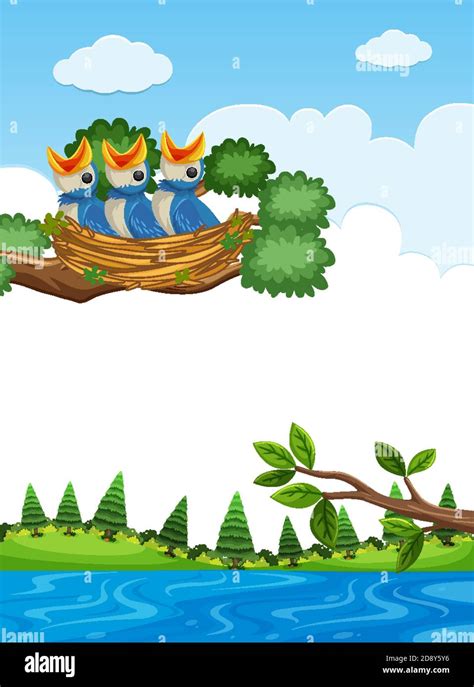 Chicks In Nest On Tree Branch Illustration Stock Vector Image Art Alamy