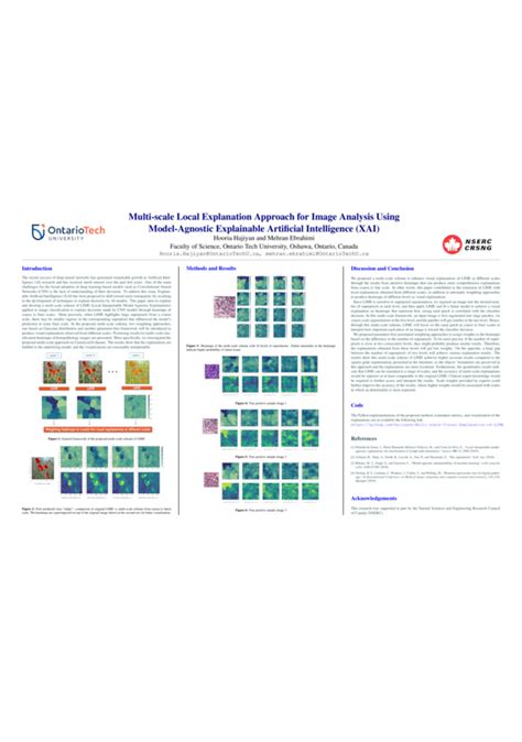 Multi Scale Local Explanation Approach For Image Analysis Using Model Agnostic Explainable