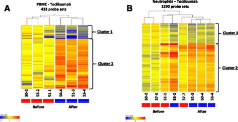 Heatmaps Illustrating Supervised Hierarchical Clustering Analysis Of Download Scientific