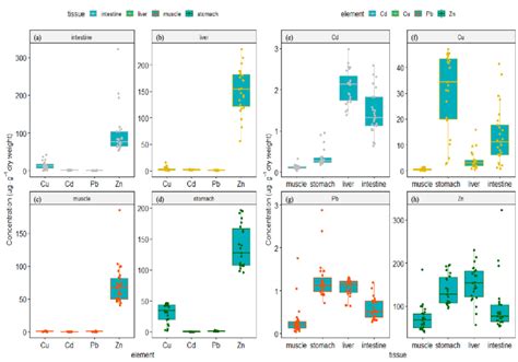 Boxplot On Concentrations Of Trace Elements In Intestine Liver