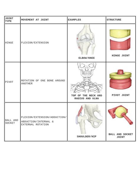 Joint Types And Examples Pdf
