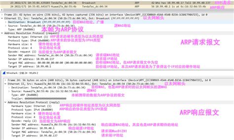 【lwip】08 Arp协议一图笔记及源码实现 李柱明 博客园