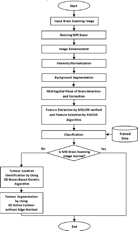 Figure 1 From Segmentation Of Brain Tumors In Mri Images Using Three Dimensional Active Contour