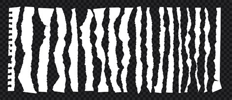 찢어진 종이 가장자리 가장자리가 찢어진 사실적인 찢어진 종이 스트립 비디오 전환 효과를 위한 흰색 찢어진 종이 시트 투명한 배경에 설정된 벡터 격리 Diy에 대한 스톡 벡터