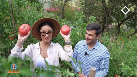 მე ვარ ფერმრეი პომიდვრის ბაღი Youtube