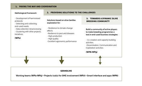 PROJECT METHODOLOGY GEN OLIVE BRINGING OLIVE GENETIC RESOURCES CLOSER TO BREEDERS AND GROWERS