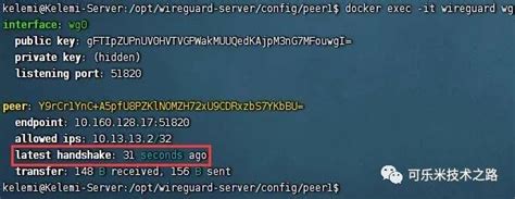 使用docker快速部署wireguard 可乐米技术之路