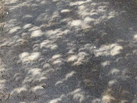 Crescent Eclipse Sideshow