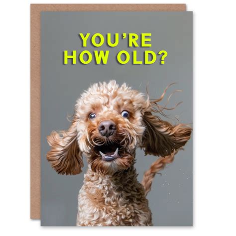 Artery8 Birthday Card Shocked Cockapoo How Old Joke Cockapoo For Him