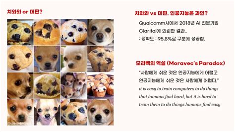 [ai 기초] ii 2 컴퓨터 비전 1
