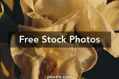 Arcgis Background Photos Download The Best Free Arcgis Background