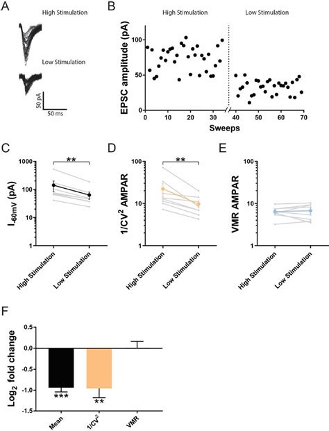 1cv 2 And Vmr Values Predict A Decrease In N Upon Lowering Stimulation Download Scientific