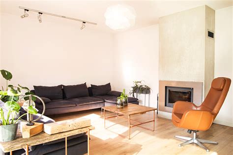 세련 된 홈 인테리어 디자인 소파 나무 테이블과 갈색 안락의 자 식물 벽난로 갈색 나무 마루와 밝고 밝은 방 0명에 대한 스톡 사진 및 기타 이미지 Istock