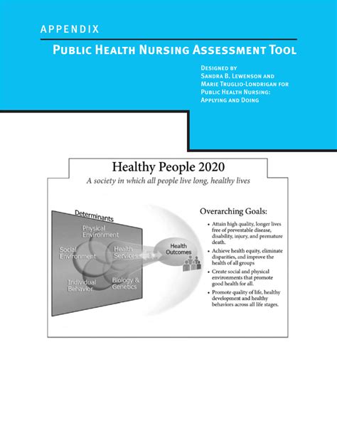 Appendix Public Health Nursing Assessment Tool Docslib