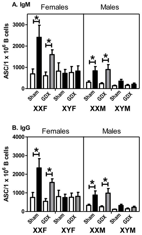 The Xx Sex Chromosome Complement Is Required In Male And Female Mice