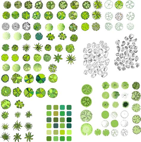 Ghim Của Zainab Chakera Trên Front Landscaping Design Phác Thảo Thực