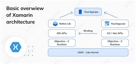 Cross Platform App Development 🔝top Frameworks 2025