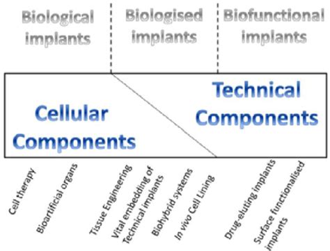 Categories Of Bioimplants Followed By The Components And Examples