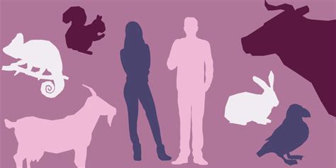 Elementary Computer Science Course Catalog Codehs