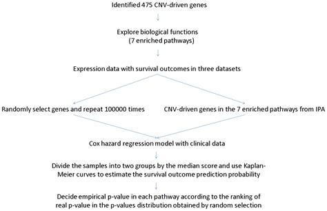 flowchart for clinical validation of cnv driven genes three