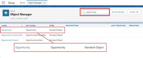 how to create auto number field type in salesforce