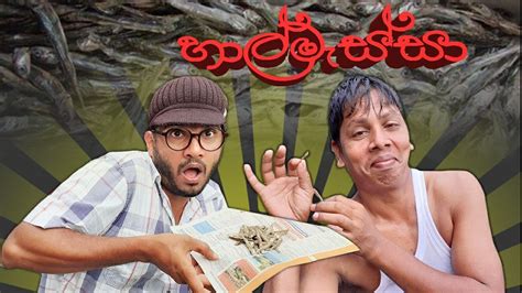 Sarock Halmassa හාල්මැස්සා Youtube