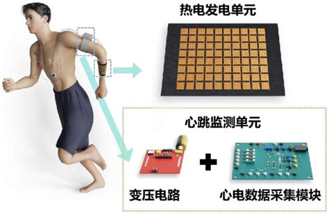 一种基于衣物式热电发电器的可穿戴心电图监测系统