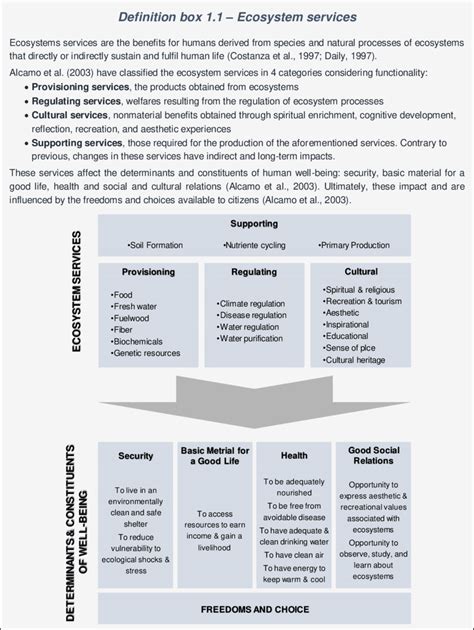 11 Schematic Of The Categories Of Ecosystem Services And Their Links