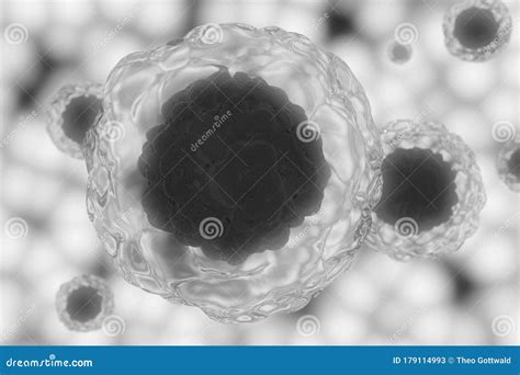Stem Cells Under A Microscope Stock Illustration Illustration Of Pluripotent Embryonic 179114993