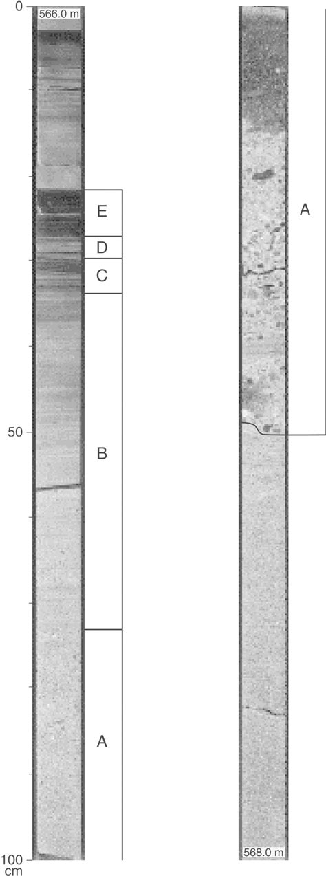 A Typical Fining Upward Turbidite Sequence From The Lower Turbidite