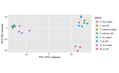 Rna Seq Pca RNA Seq Deseq Tutorial Visualization PCA Plot With R