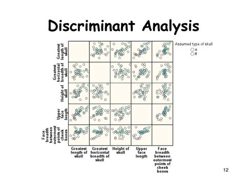 PPT - Discriminant Analysis PowerPoint Presentation, free download - ID:7062380