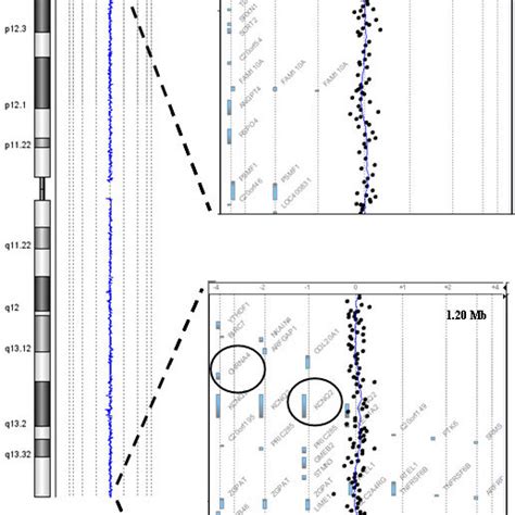 Array Cgh Chromosome 20 Profile Example Of Normal Profile Observed In