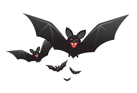 Noctule Bat Illustrations Royalty Free Vector Graphics And Clip Art Istock