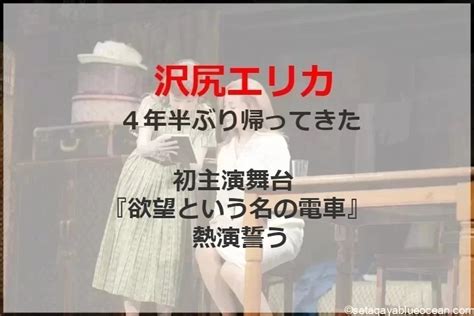 沢尻エリカ、4年半ぶり帰ってきた 10日から初主演舞台『欲望という名の電車』で熱演誓う てんしょく飯 Blog