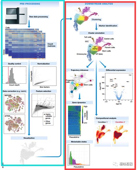 Scs【2】单细胞转录组 之 Cellranger 知乎