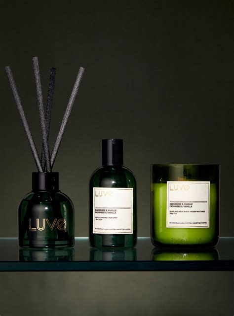 Scent Pairing Mastering Reed Diffuser Fragrance Combinations Luvo