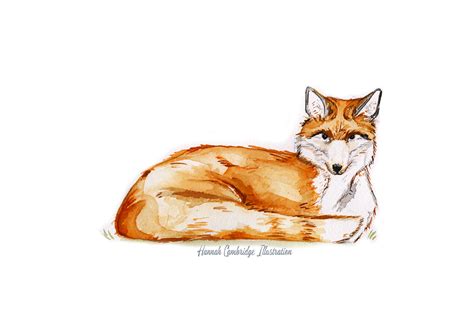 The Backlass Project On Behance The Backlass Project On Behance