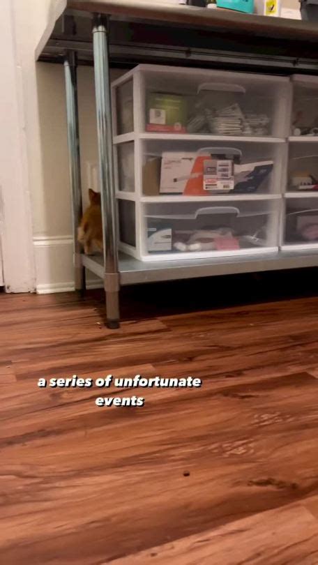 Still Figuring Out Controls Tumbex