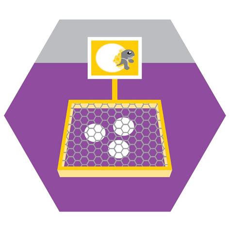 Turtle Security Ann Arbor Observer