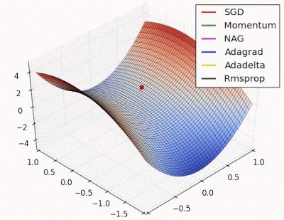 ADAM OPTIMIZER