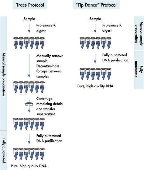 Ez1 Dna Investigator Cards