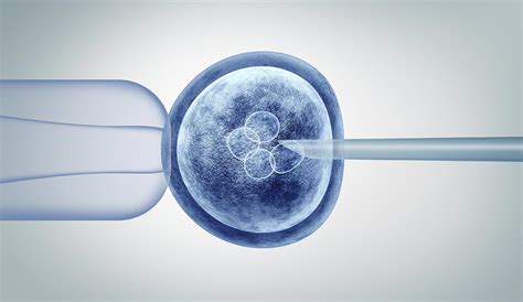 Qsp Modeling How Biosimulation Can Bolster Cell And Gene Therapy