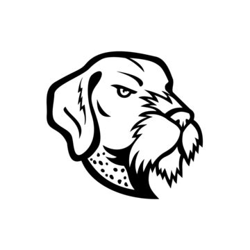 Wirehaired Pointer Black And White Clipart Images For Free Download Pngtree