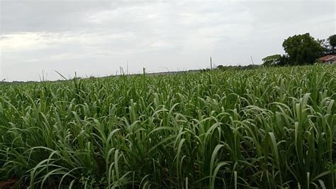 Bacolod Real Estate And Property Listings Hi I Am Selling My