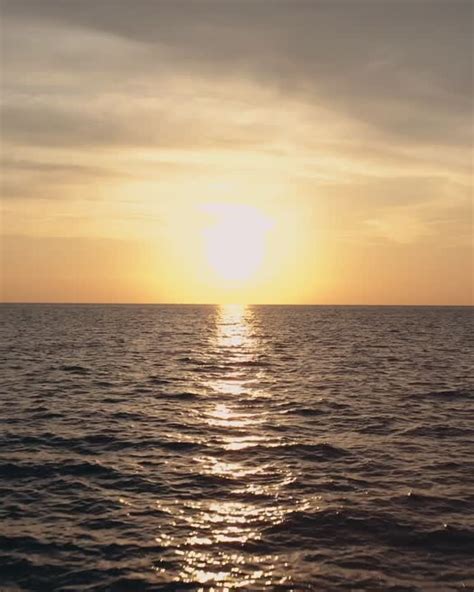 Krishna Shrestha On Linkedin ️