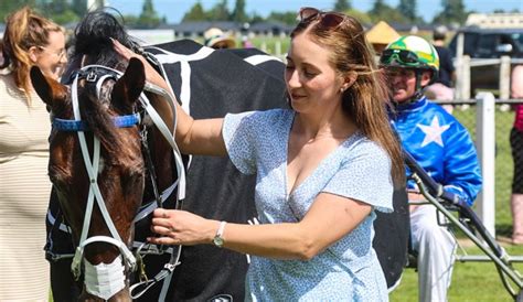 Wilkins To Make Nz Debut At Alexandra Park Tonight Harness Racing New