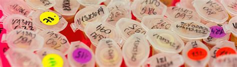 Best Practices For Biological Sample Storage And Management Biocompare The Buyers Guide For