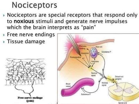 Science Of Medicine Added A New Photo Science Of Medicine