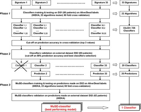 Nb Muse Classifier Construction Workflow Of The Steps Involved In The